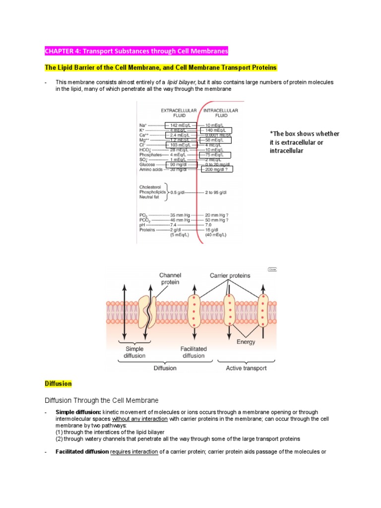 Physiology Chap4 (Transport of Substances Through Cell Membrane) | PDF ...