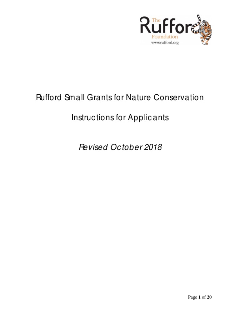 RSG Instructions For Applicants | PDF | Plagiarism | Online And Offline