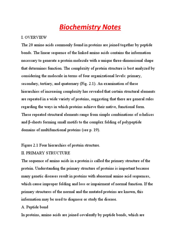 Biochemistry Notes | PDF | Proteins | Biomolecular Structure