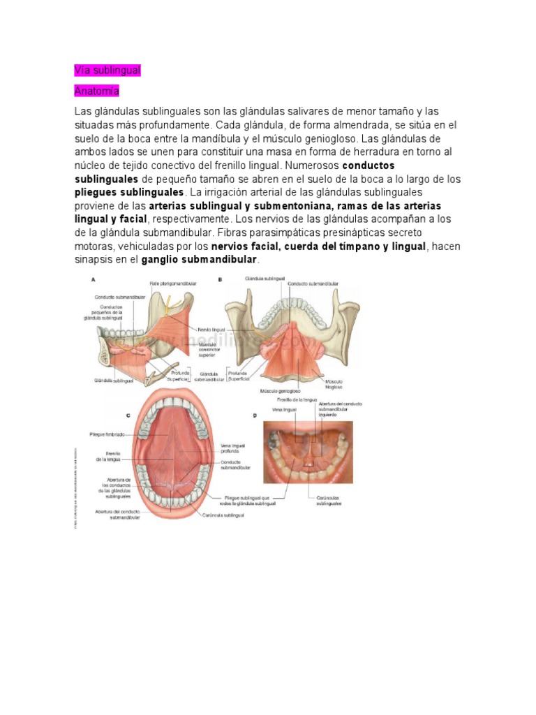 Vía Sublingual | PDF | Medicina | Medicina CLINICA