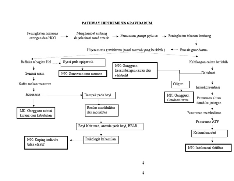 Pathway Hiperemesis Gravidarum | PDF