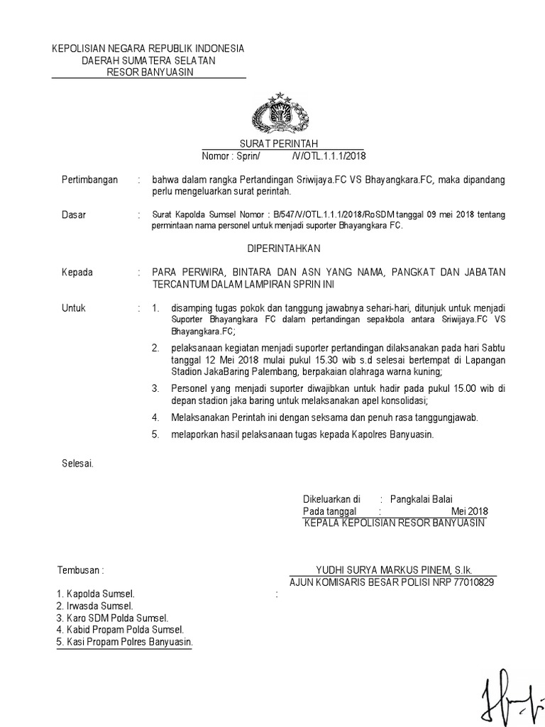 Sprin Suporter | PDF