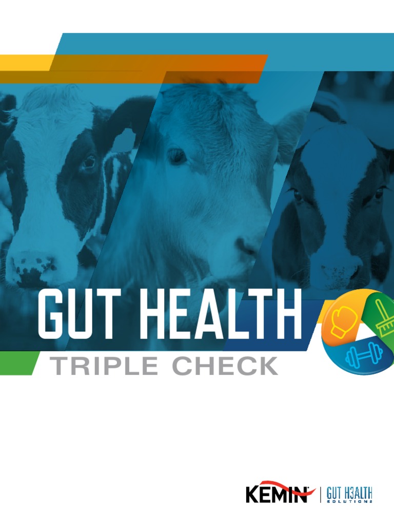 Ruminant Gut Health Triple Check Brochure PTP-198 PDF | PDF ...