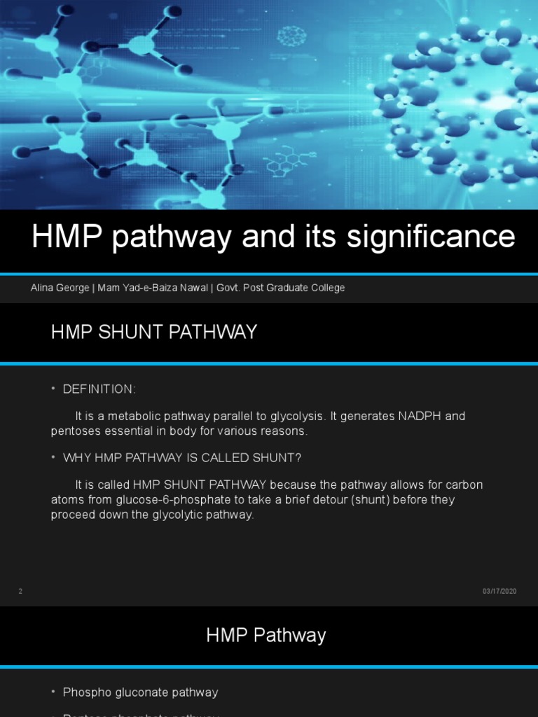 HMP Pathway and Its Significance - PPTX Version 1 | PDF | Glycolysis ...