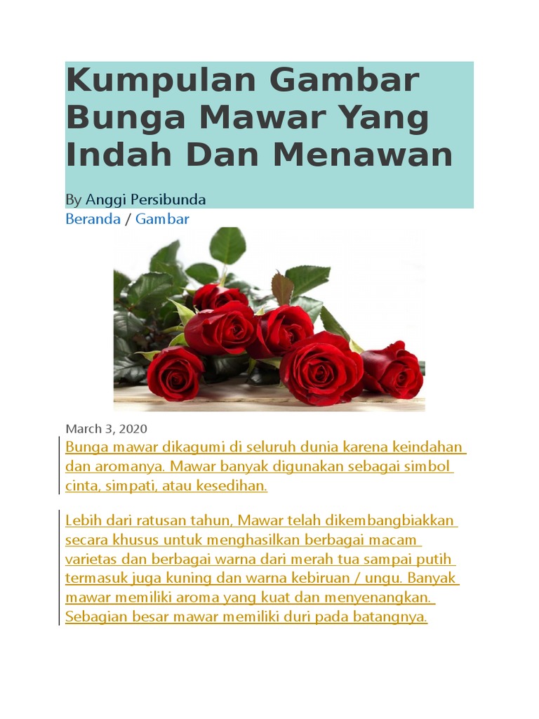 Kumpulan Gambar Mawar Indah dan Menawan | PDF