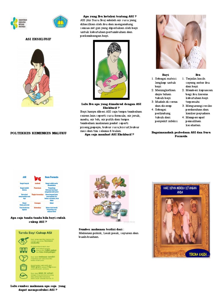 Leaflet Asi Eksklusif | PDF