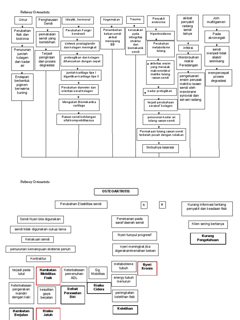 Pathway Osteoarthritis