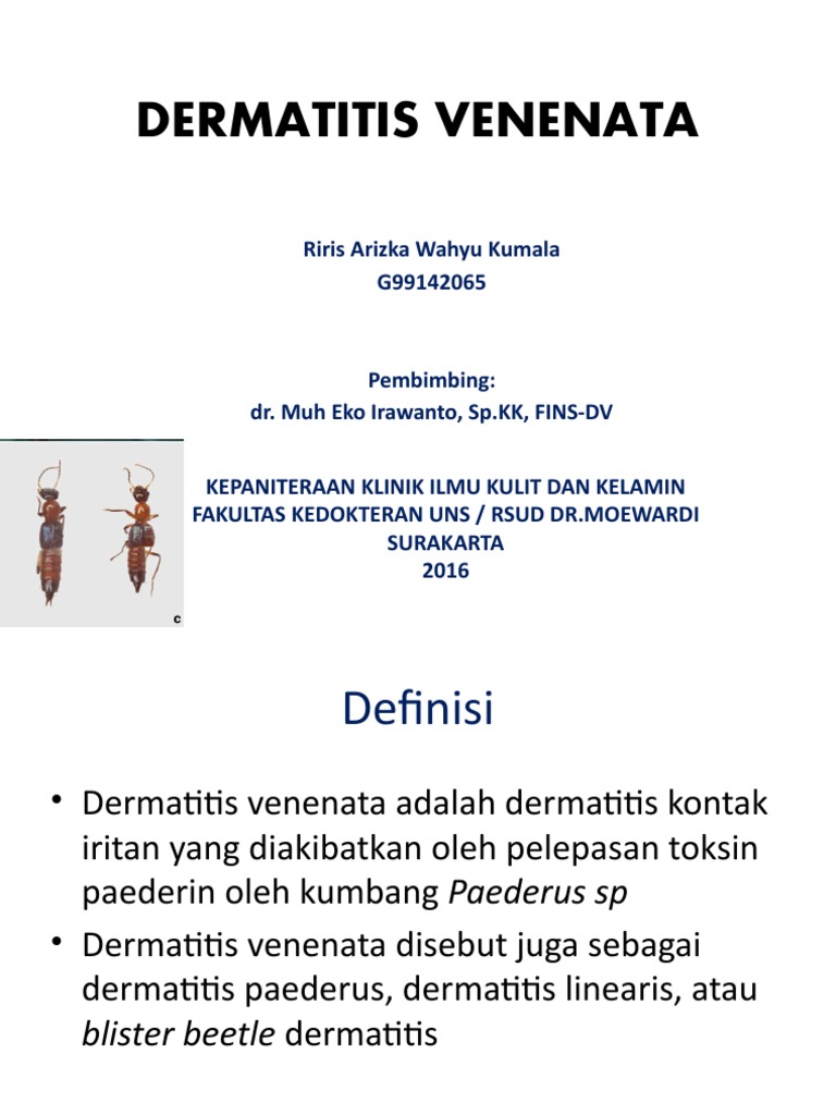Terapi dan Diagnosis Dermatitis Venenata | PDF