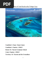 Geography Sample SBA | PDF | River | Rock (Geology)