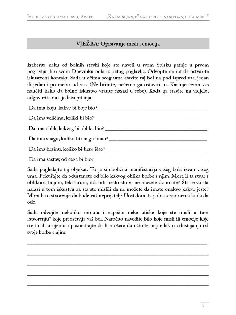 Vjezba 19 - Opisivanje Misli I Emocija PDF | PDF