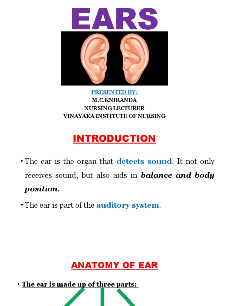Sense Organ - EARS | PDF | Ear | Hearing