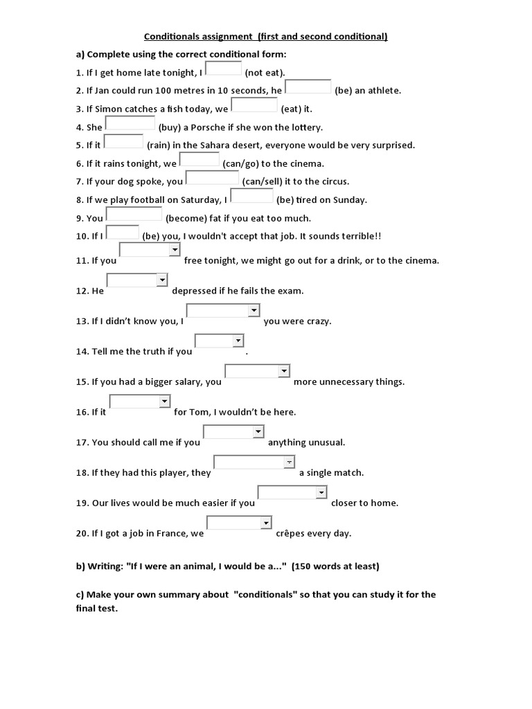 Conditionals Assignment | PDF