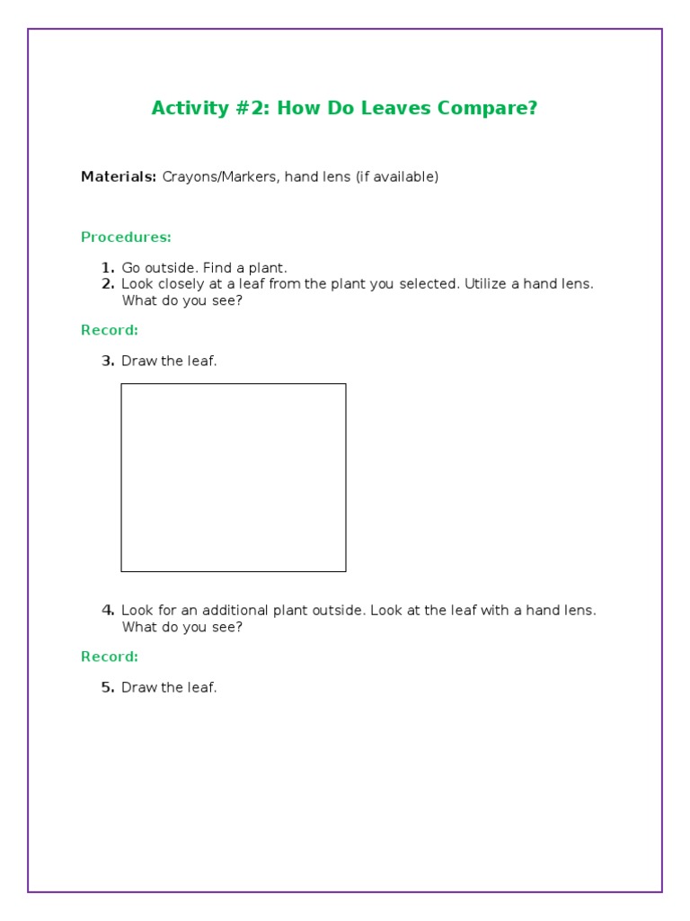 Comparing Leaves Activity | PDF