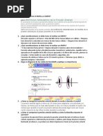 En Qué Consiste El MAPA y AMPA | PDF | Hipertensión | Presión sanguínea