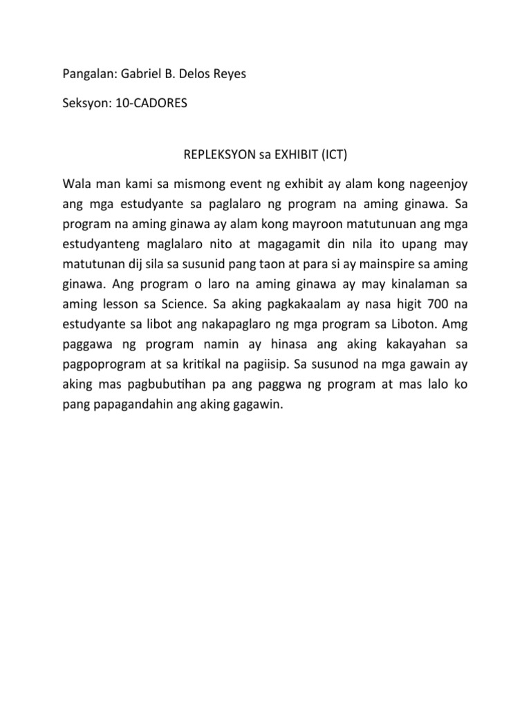 Reflection (Ict) | PDF