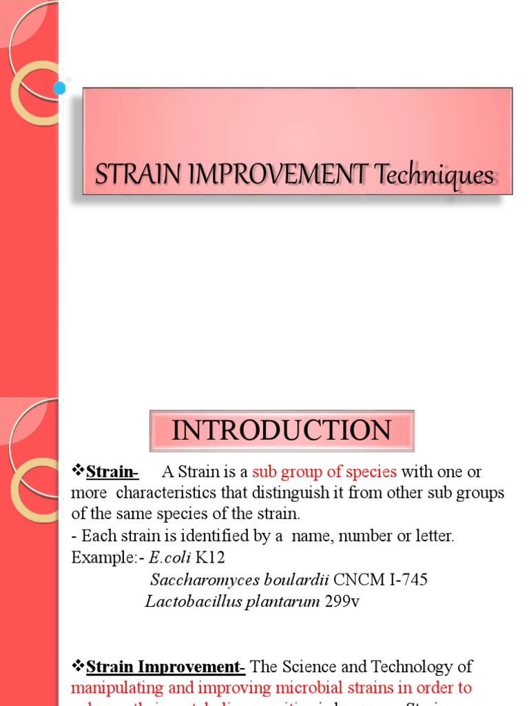 Strain Improvement Techniques Overview | PDF | Molecular Cloning | Plasmid
