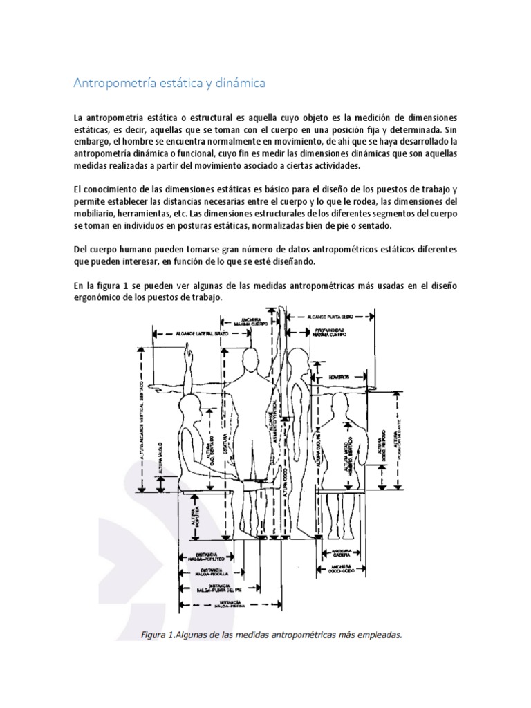 Antropometría | PDF | Antropometría | Factores humanos y ergonomía