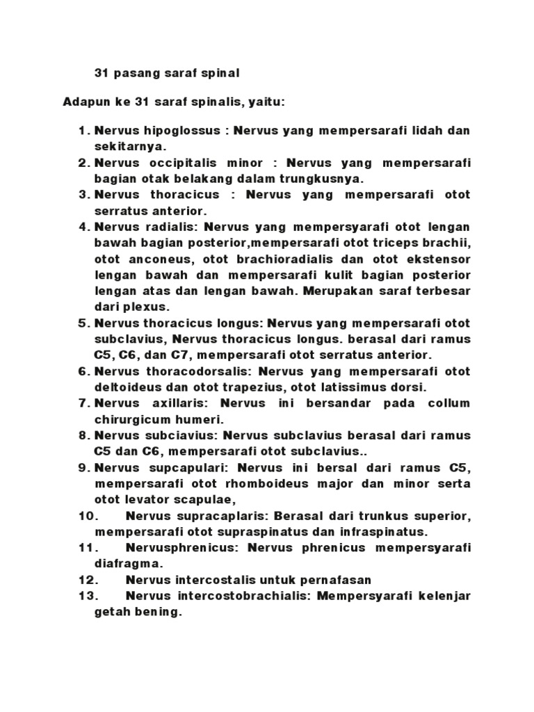 31 Pasang Saraf Spinal | PDF