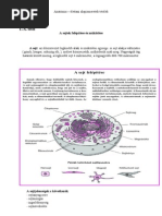 Biológia Feladatlapok. Megoldásai 8.oszt - PDF | PDF