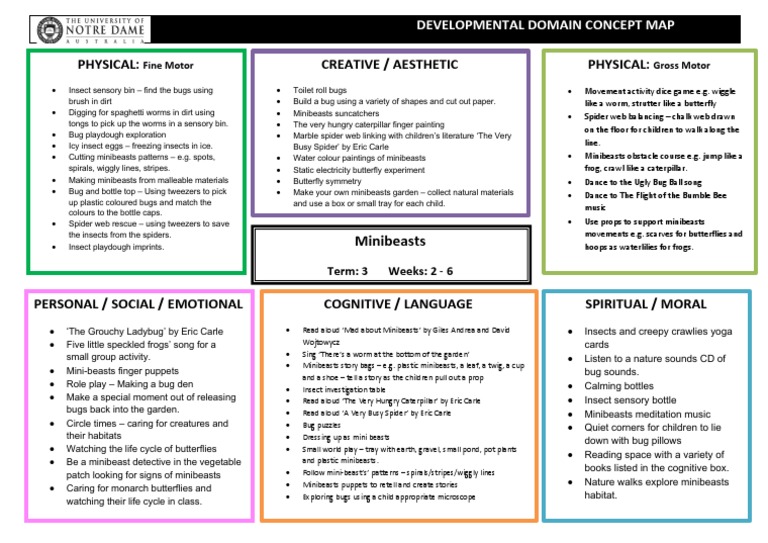 Developmental Domain Concept Map 1 | PDF | Butterfly | Insects