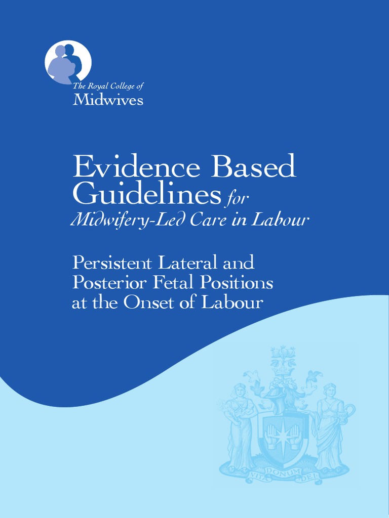 Persistent Lateral and Posterior Fetal Positions at The Onset of Labour ...