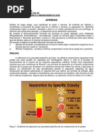 Tarjetas Grifols DG Gel-Solas | PDF | Tipo de sangre | Serología