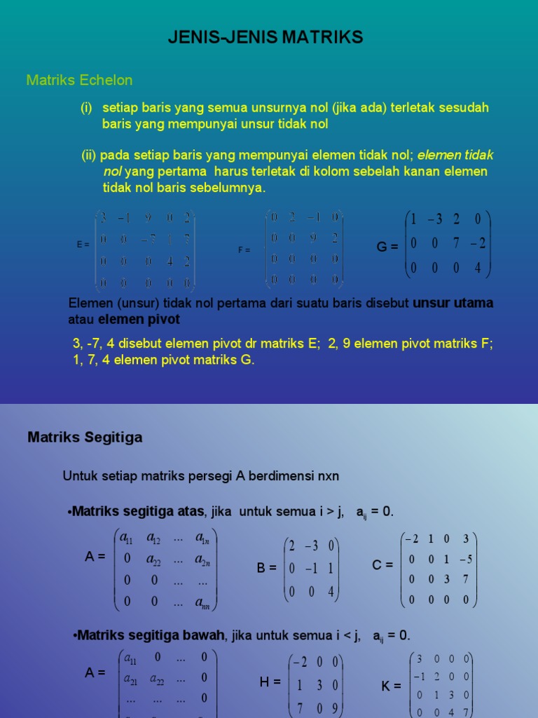 Jenis-Jenis Matriks dan Contohnya | PDF