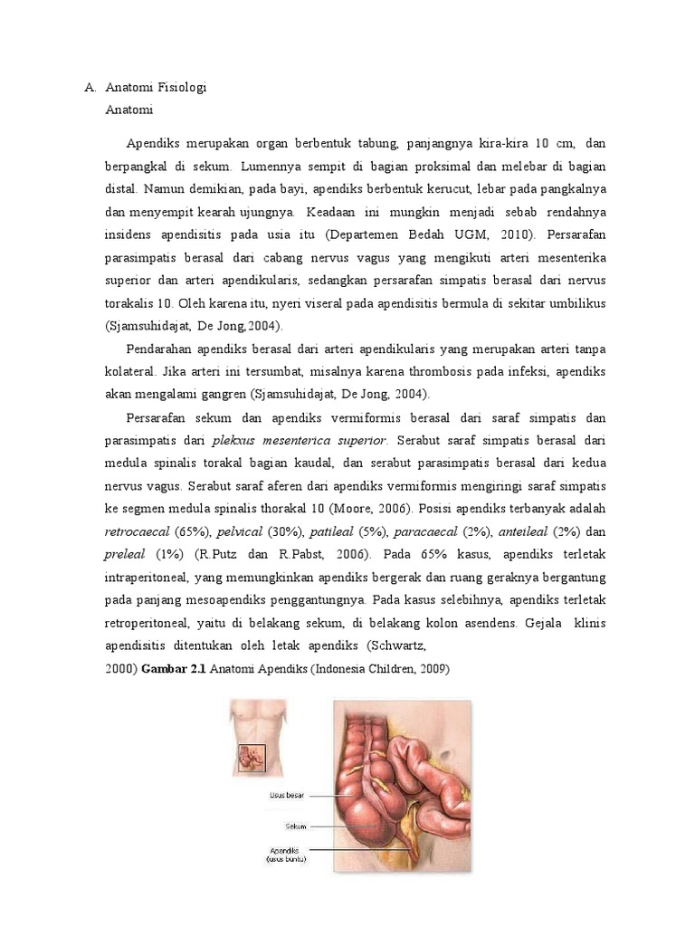 LP Apendisitis | PDF