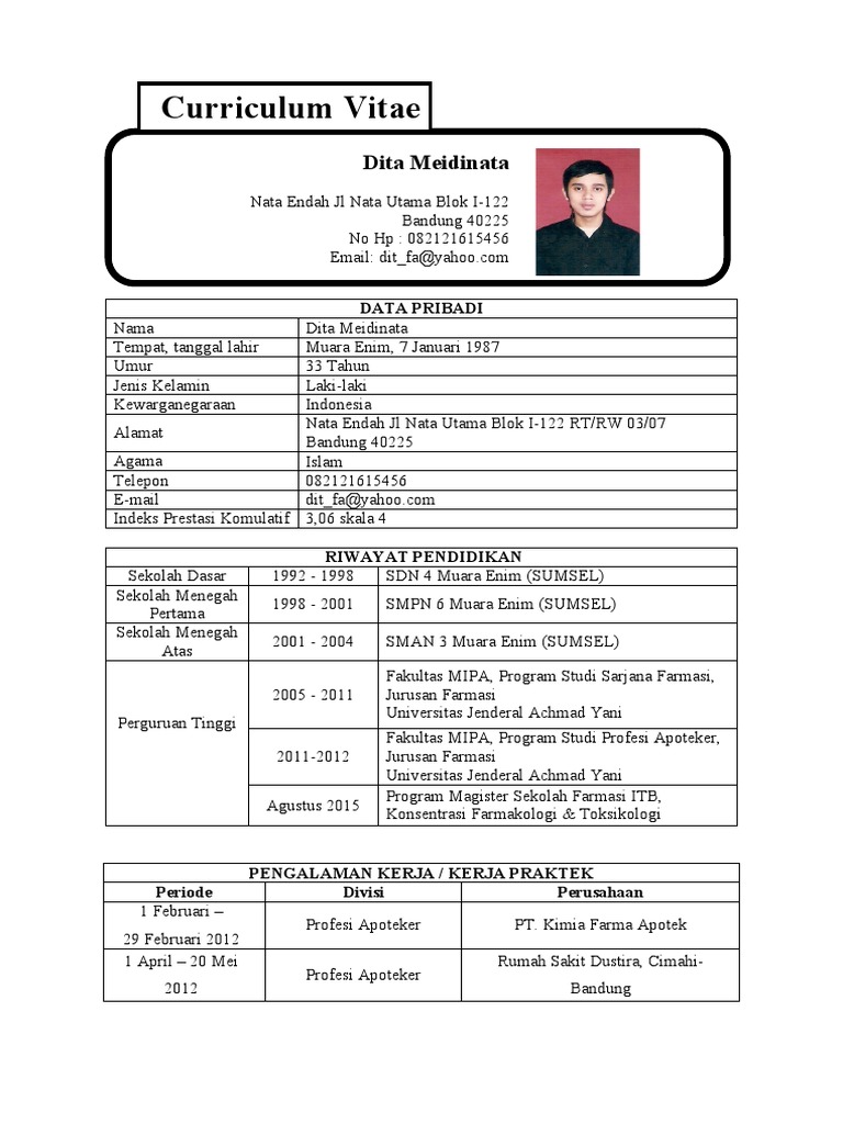 CV Dita Meidinata 2020 | PDF