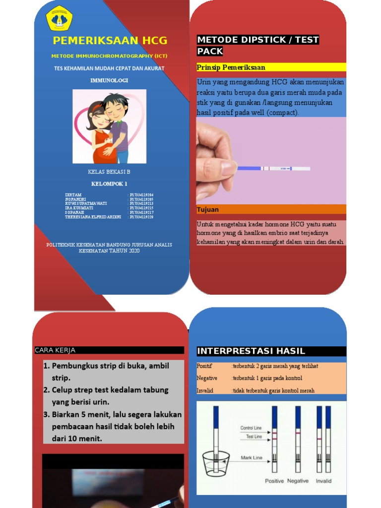 Pemeriksaan HCG | PDF