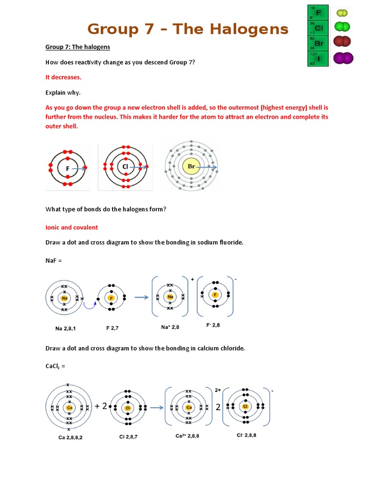 Group 7 The Halogens KLASS Answers | PDF | Chlorine | Iodine