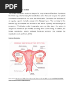 The Anatomy of Cattle Reproductive System | PDF | Luteinizing Hormone ...
