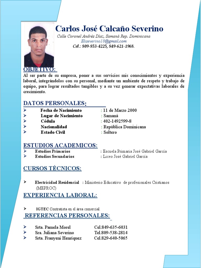 CURRICULUM Carlos Nuevo | PDF