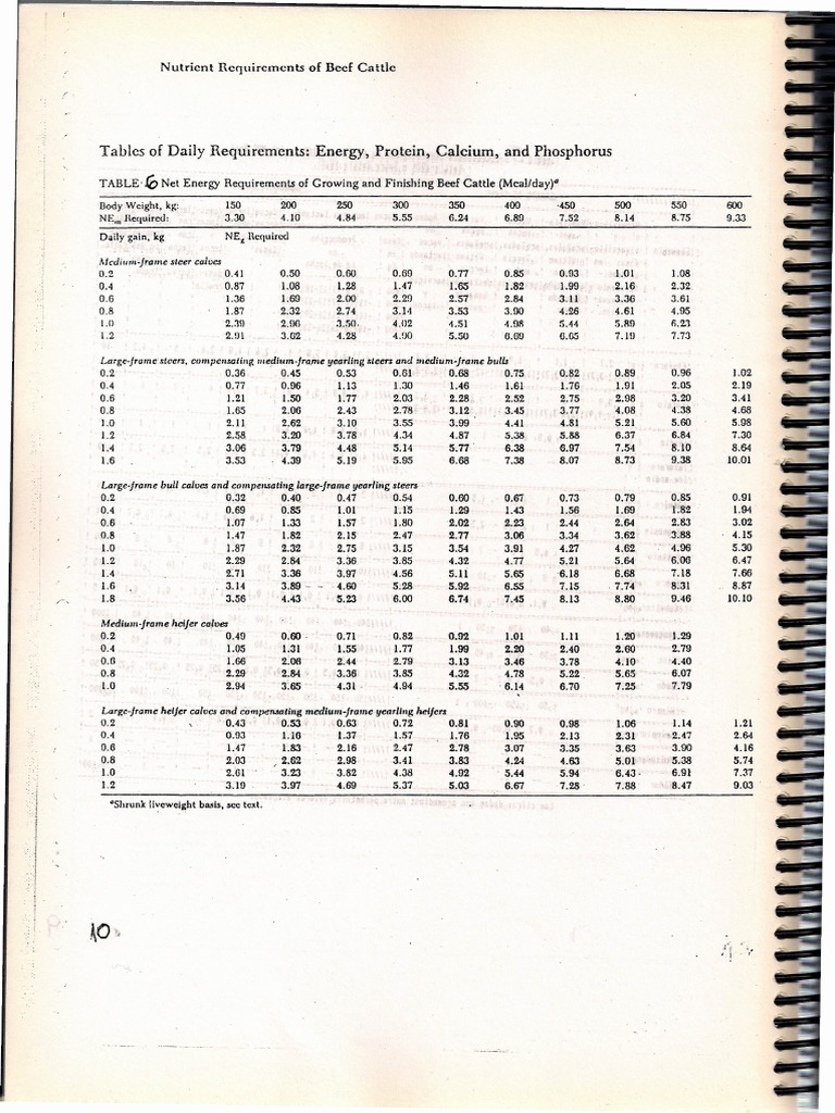 Tabla Requerimientos Beef - NRC PDF | PDF | Livestock | Cattle