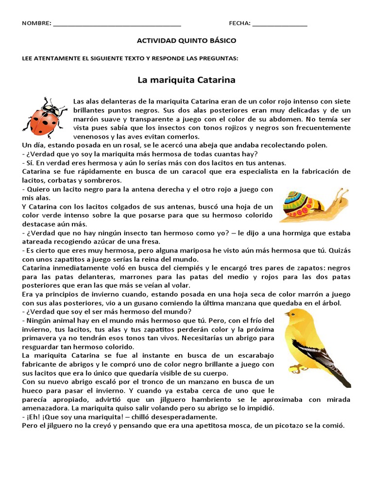 Comprensión Lectora: La Mariquita Catarina | PDF | Abejas | Naturaleza