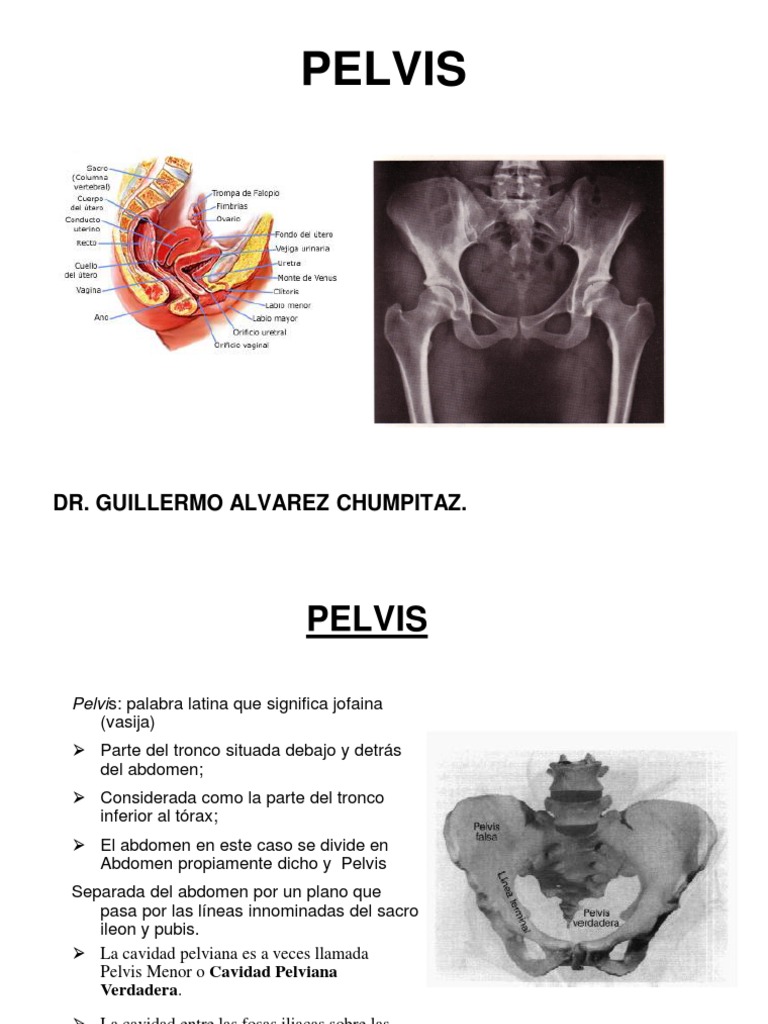 (30p) PELVIS - Pelvimetría PDF | PDF | Pelvis | Sistema musculoesquelético