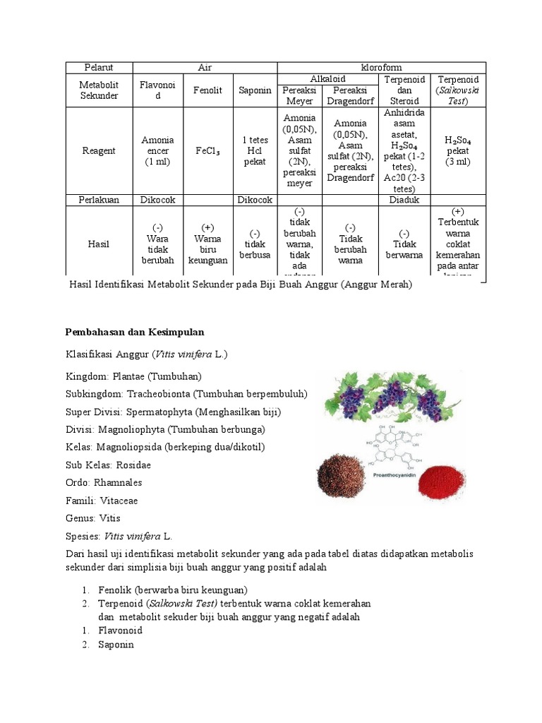 Laporan Praktikum Kel.10 Biji Buah Anggur | PDF