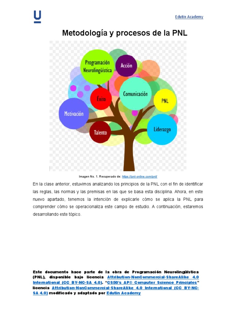 Metodología y Procesos de La PNL | PDF | Programación neurolingüistica ...