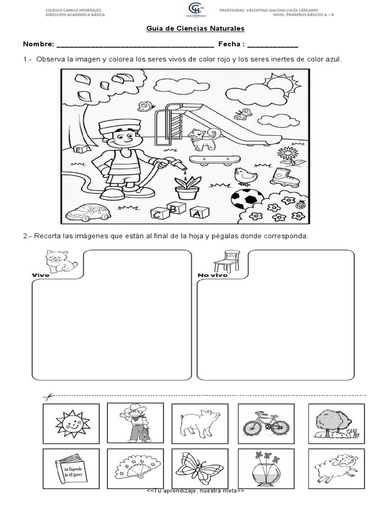1° Básico - Guía de Seres Vivos e Inertes | PDF