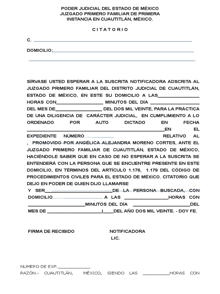 Citatorio | PDF | Gobierno | Justicia