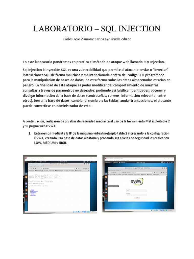 SQL Injection Lab | PDF
