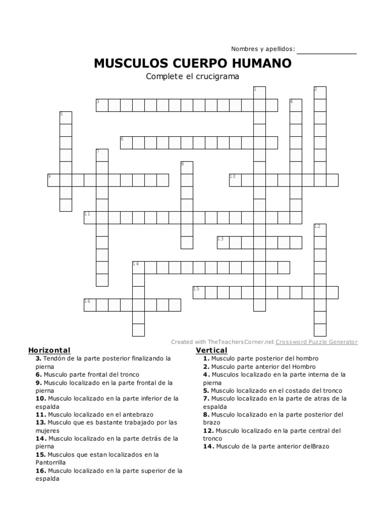 Crucigrama Musculos Cuerpo Humano | PDF
