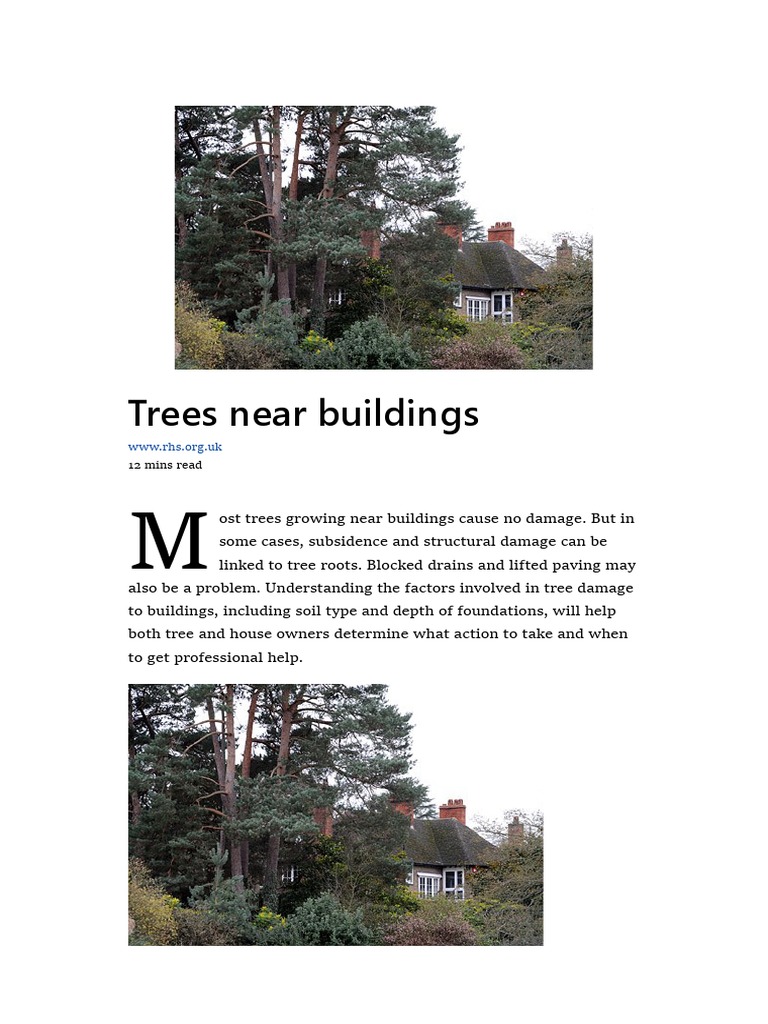 Trees Near Buildings | PDF | Trees | Soil