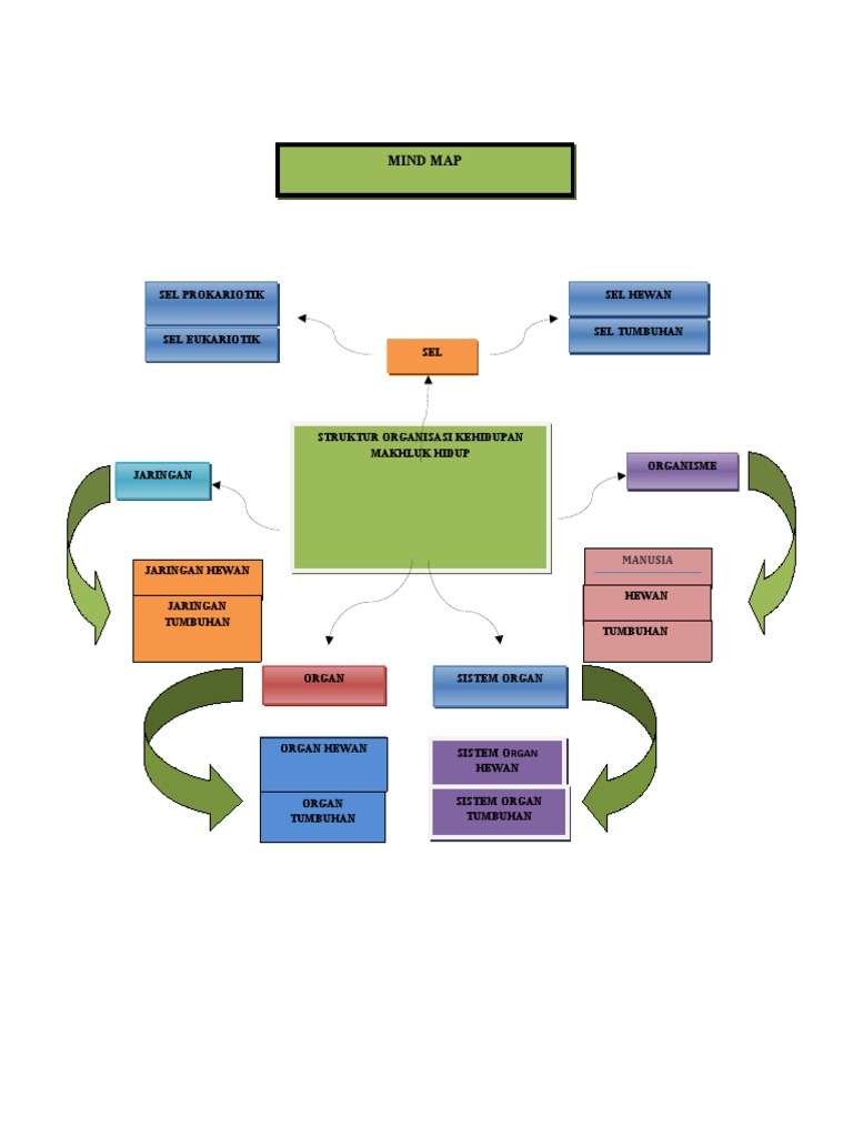 Mind Map Ksi | PDF | Sains & Matematika