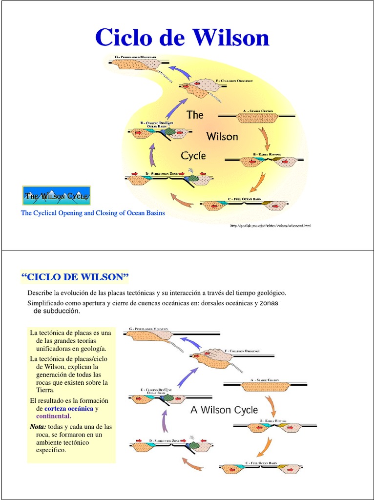 Ciclo de Wilson Ciclo de Wilson Ciclo de | PDF | Placas tectónicas ...