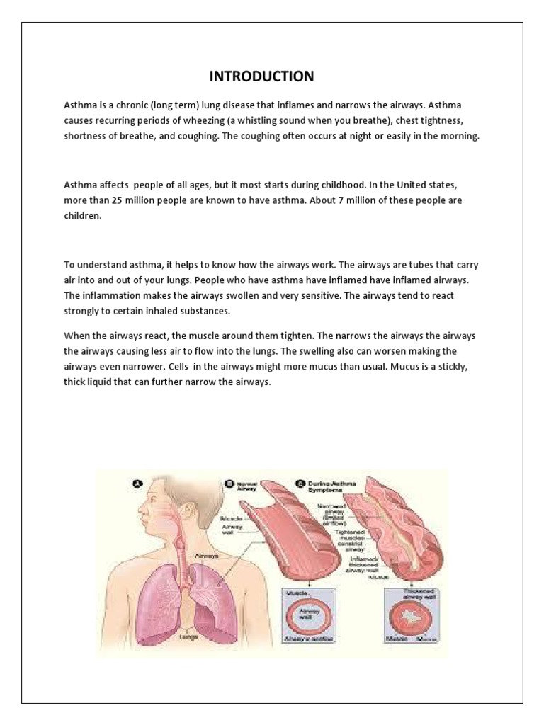 Asthma Project | PDF | Asthma | Respiratory Tract