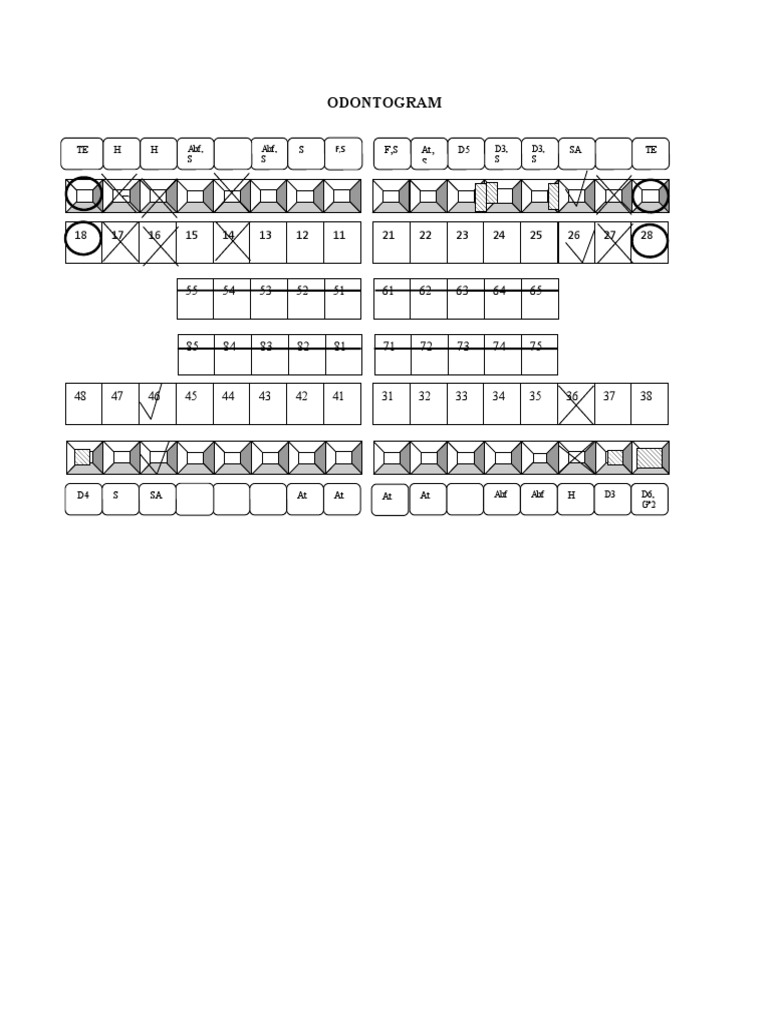Interactive Dental Odontogram Guide | PDF