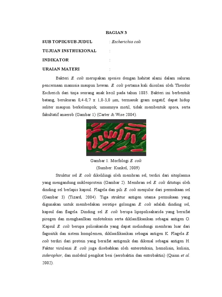 Modul Bakteri Bagian E. Coli | PDF | Pengembangan Diri | Kesehatan Holistik