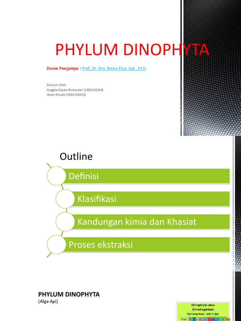 Phylum Dinophyta-1 | PDF