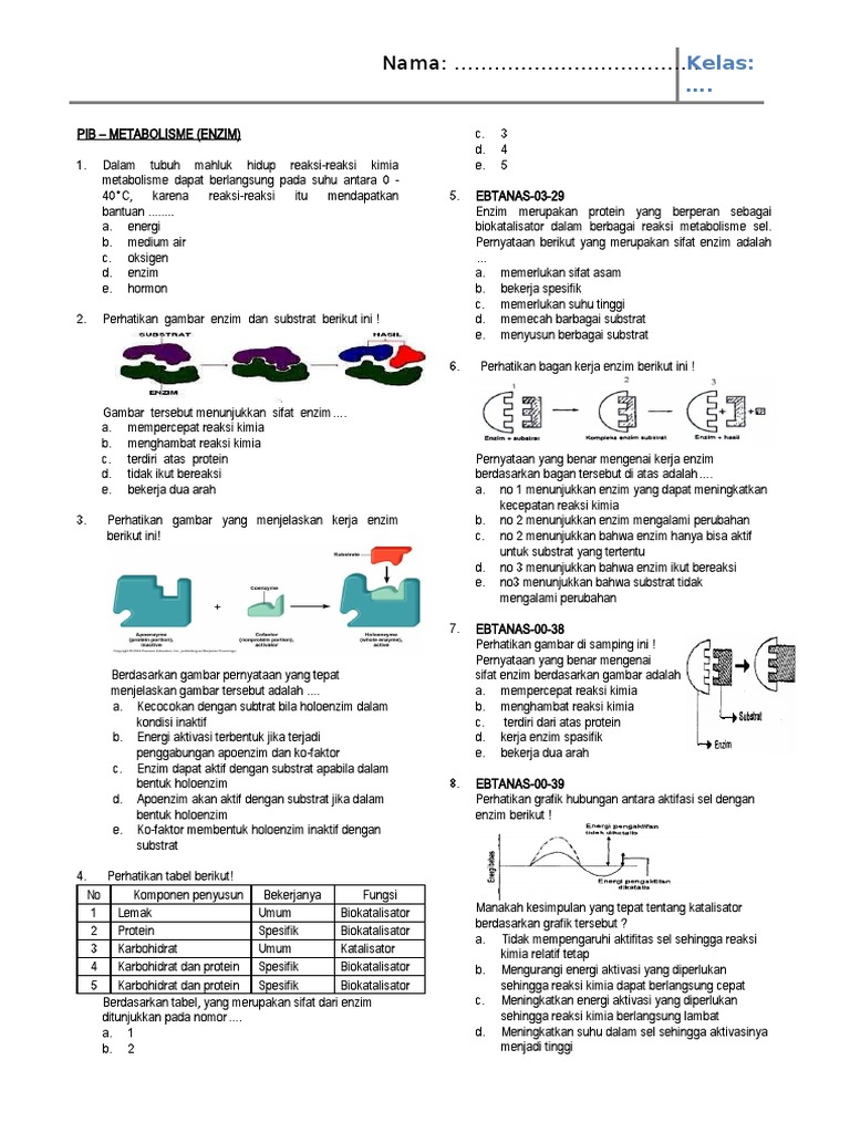 Kumpulan Latihan Soal Enzim | PDF